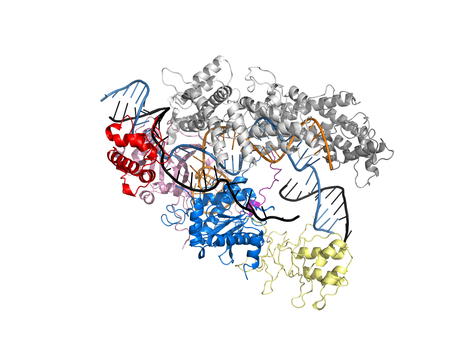 THE SWARTS LAB – Wageningen University, Laboratory of Biochemistry